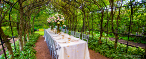 Private Parties – Wandering Tree Estate, Private Luxury Venue